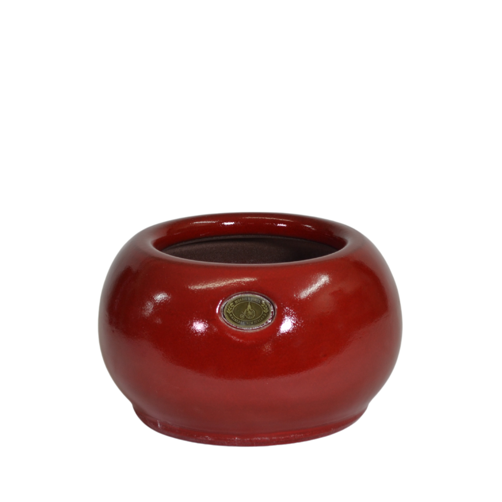 Puku Pot Hollyberry – Morris and James