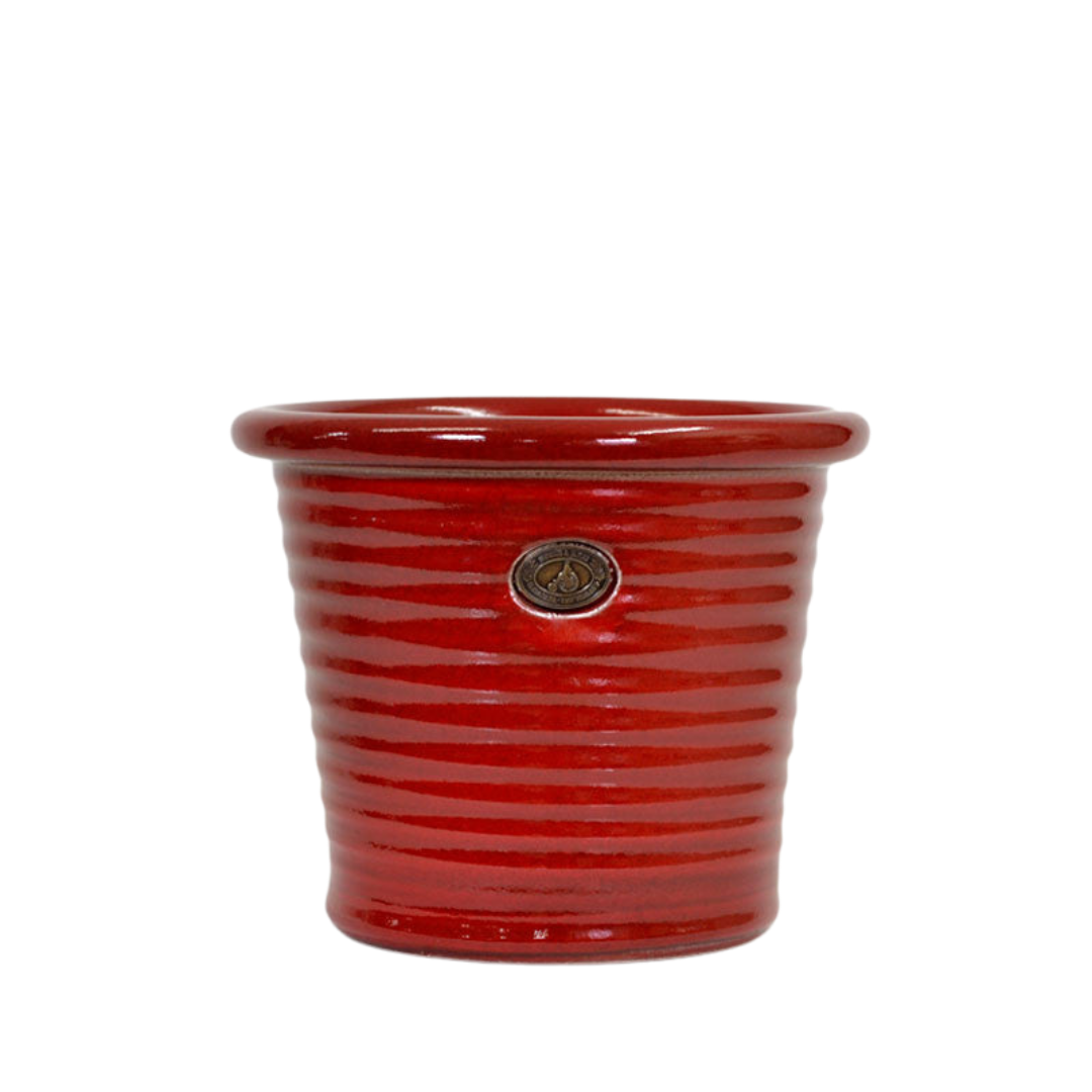 Shop All – Morris and James